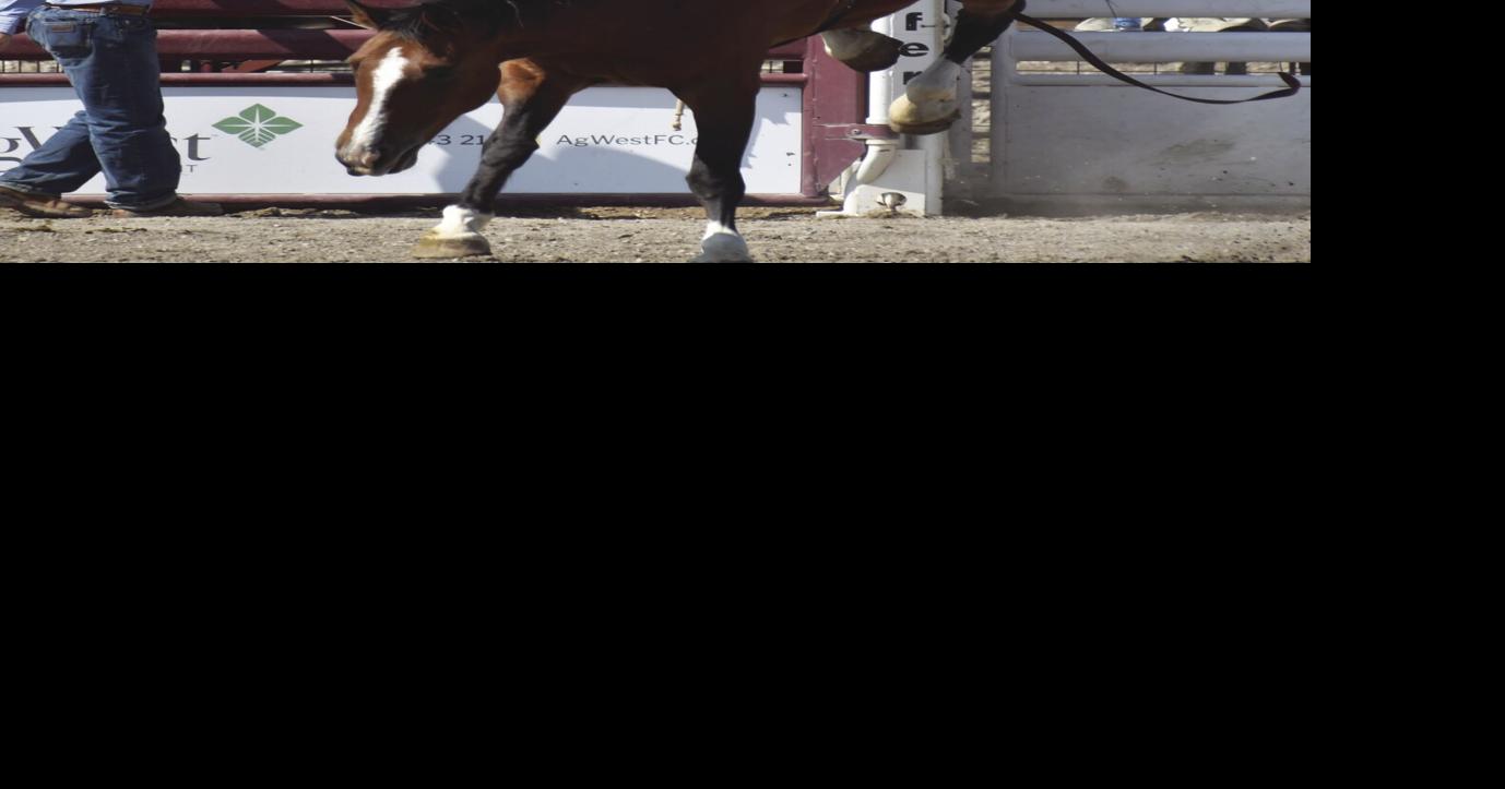 Big checks hit in bulls and WHR, locals place high in JC rodeo | Sports ...