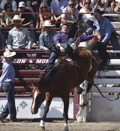 Big checks hit in bulls and WHR, locals place high in JC rodeo | Sports ...