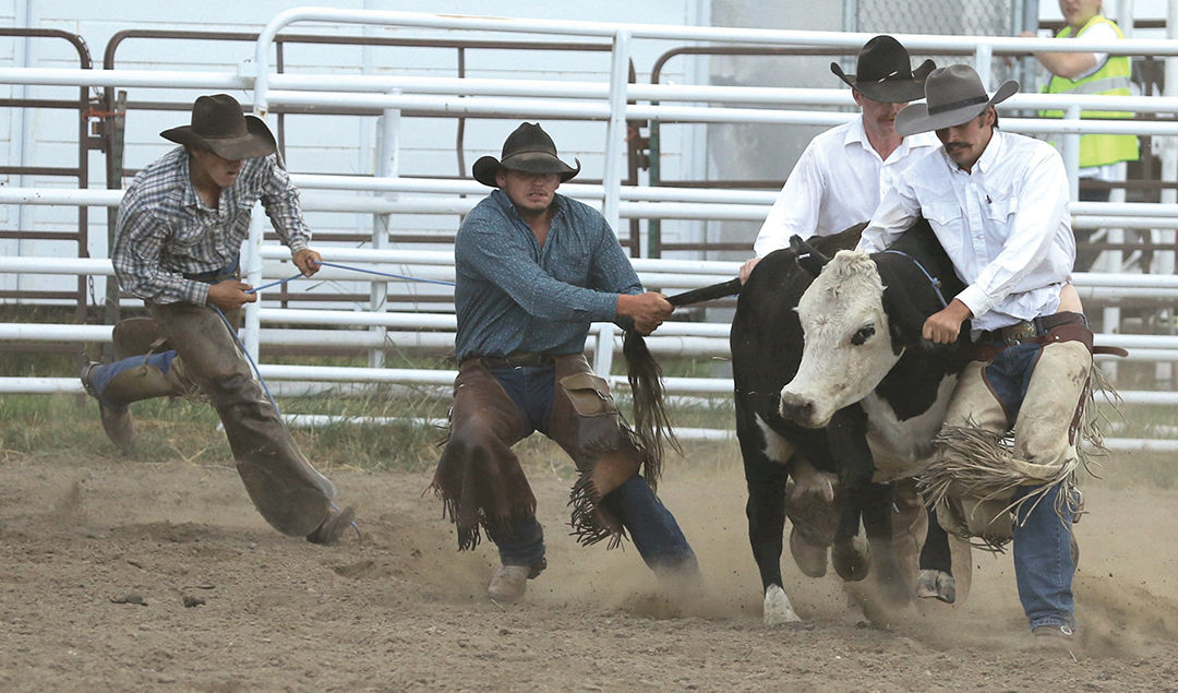 Ranch rodeo, mutton bustin’ kick off State Fair | Sports | douglas ...