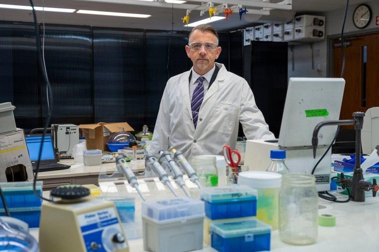 New research warns fish being killed off by pesticides | National ...