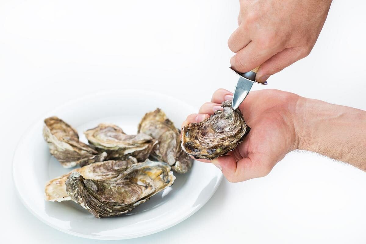Salmonella Outbreak Tied to Raw Oysters Sickens 64 in 22 States ...