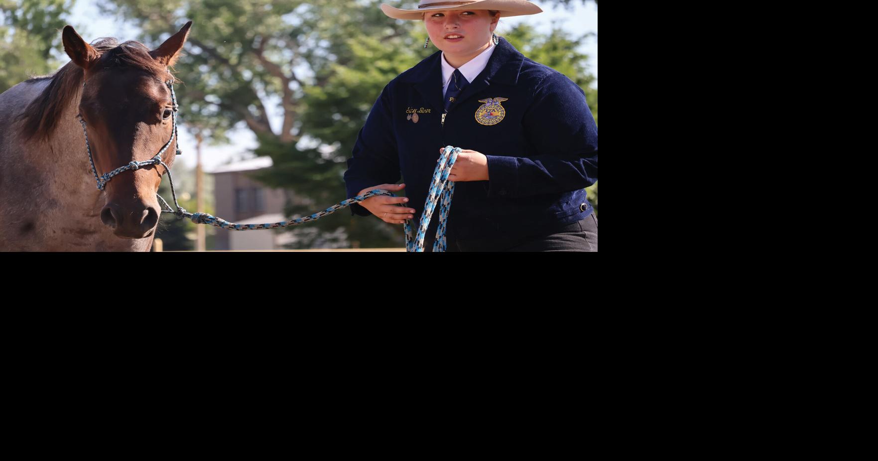 TEACHERS WITH HOOVES: Vanderpool takes big accolades at county fair ...