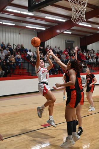 Lady Bulldogs claim fourth-consecutive district championship | Sports ...