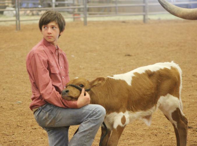 Gallery: Longhorns stampede into the fairgrounds | | duncanbanner.com