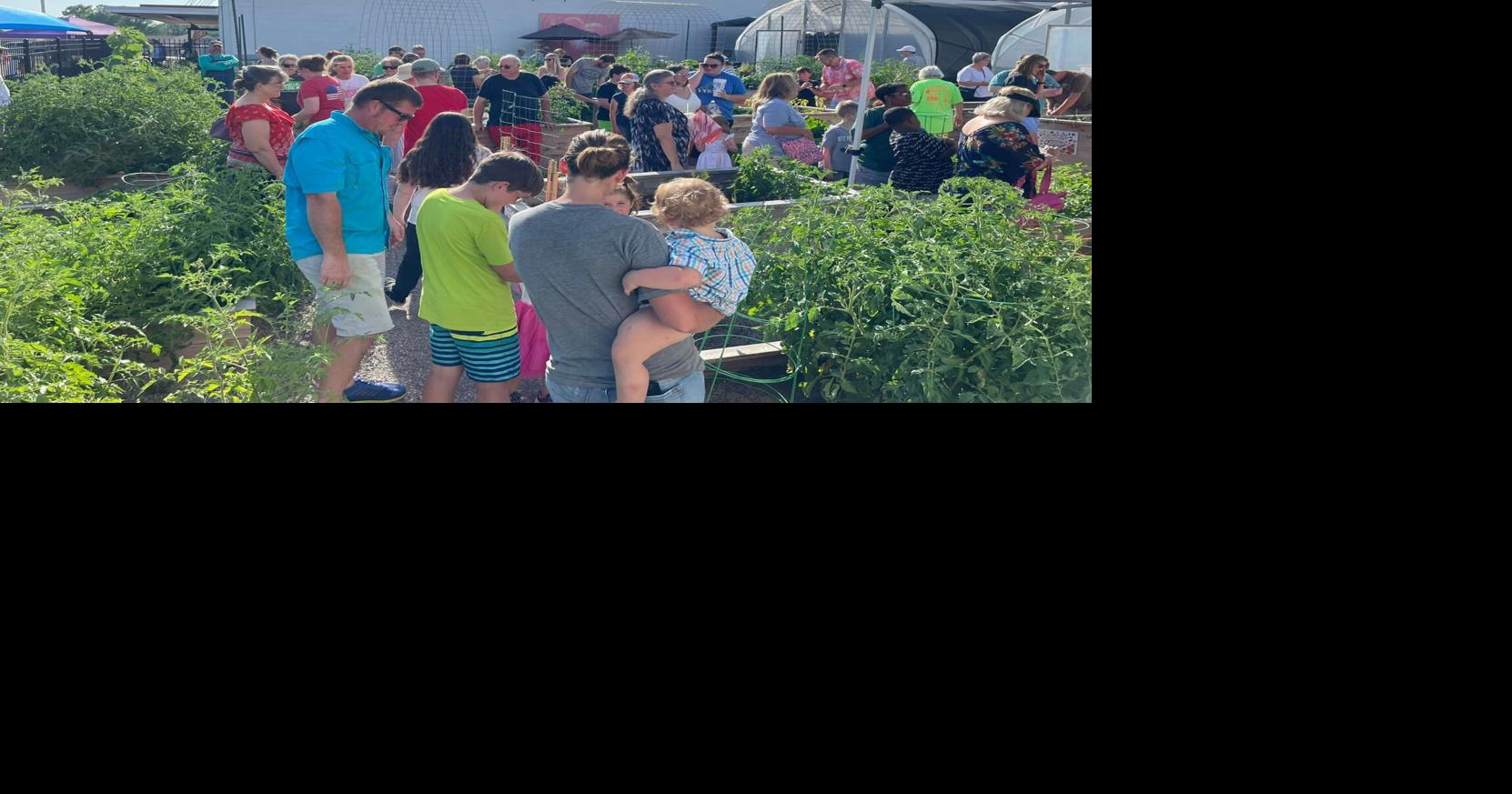 Gallery: Community releases 10,000 ladybugs at Think Ability Garden ...