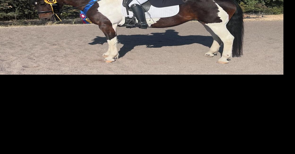 Local equestrian Litsch adds a second Century Club honor to her ...