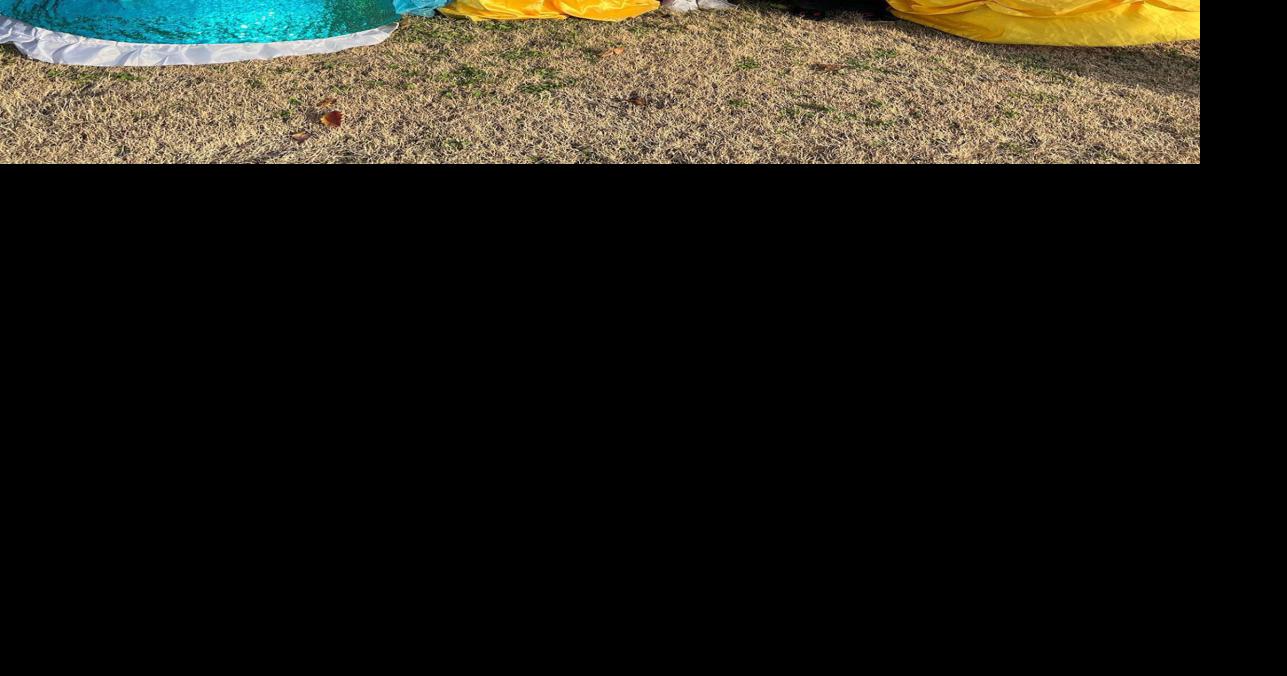 An enchanted holiday: Disney princesses to host meet and greet for area ...