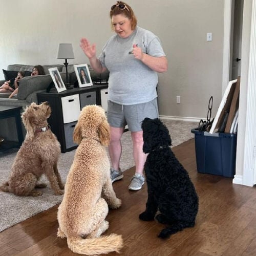 Pet corner: Welcome home! | Community | duncanbanner.com