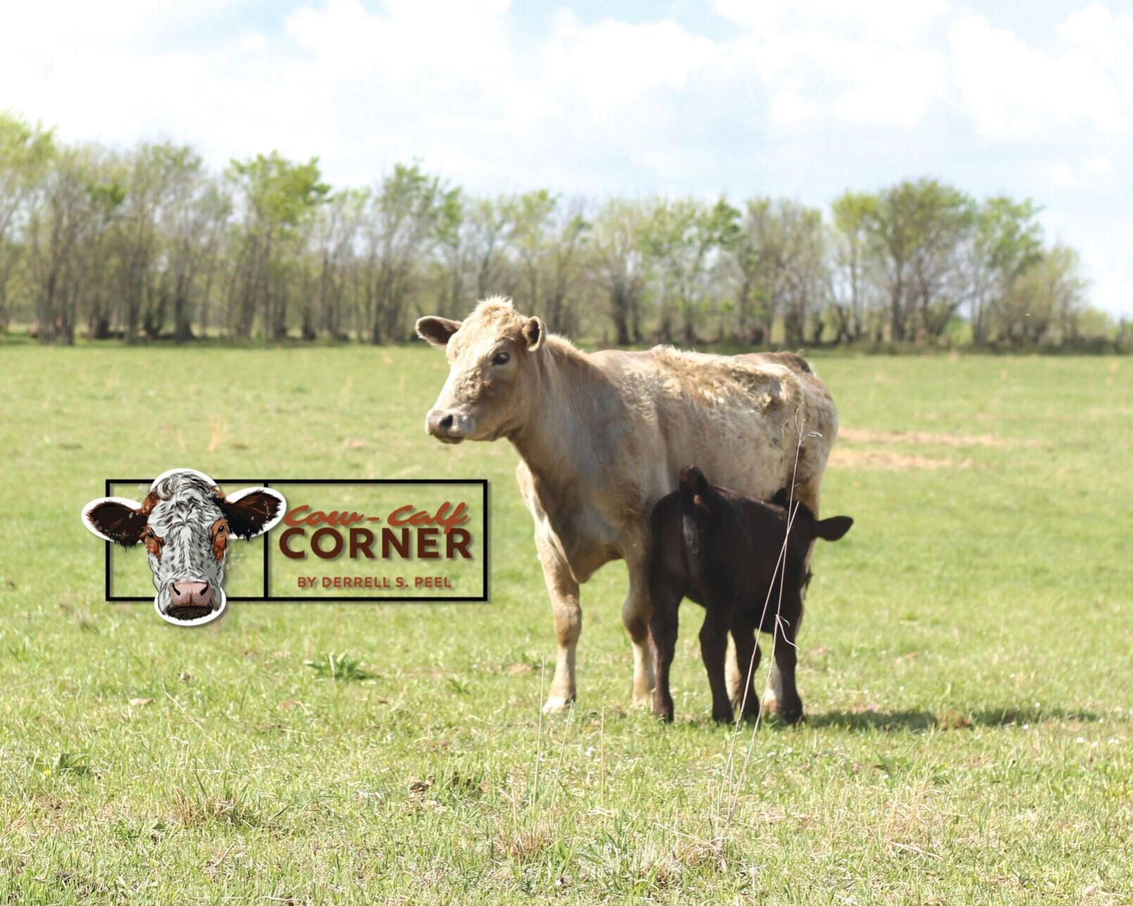 New World Screwworm confirmation: The bad and the good news | Farmtalk ...