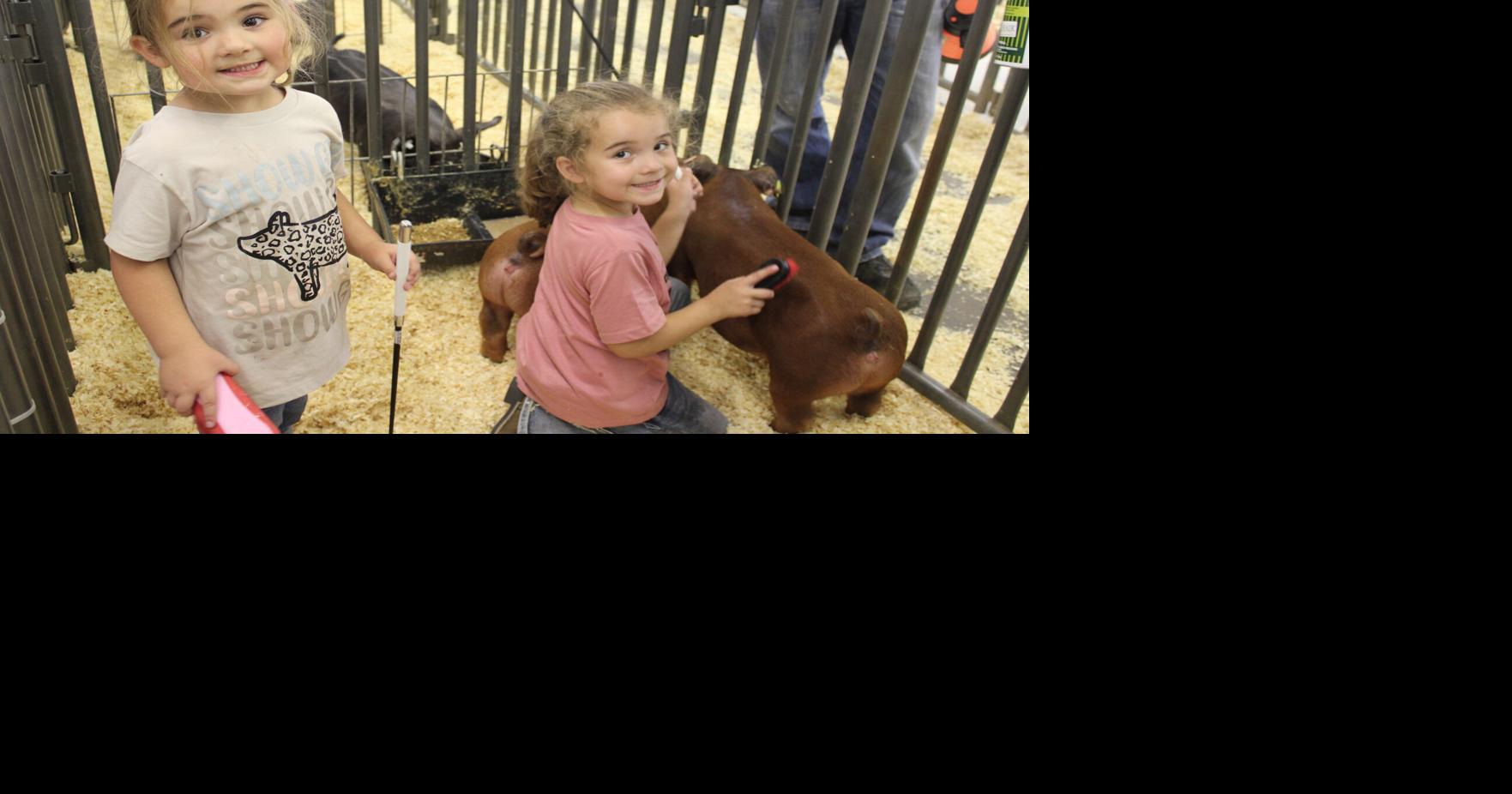 Photos: NSR hog show wraps up biggest sale in Duncan | Community ...