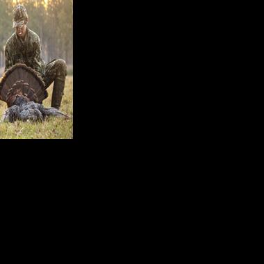 Turkey numbers reported 'steady' ahead of April 16 hunting opener ...