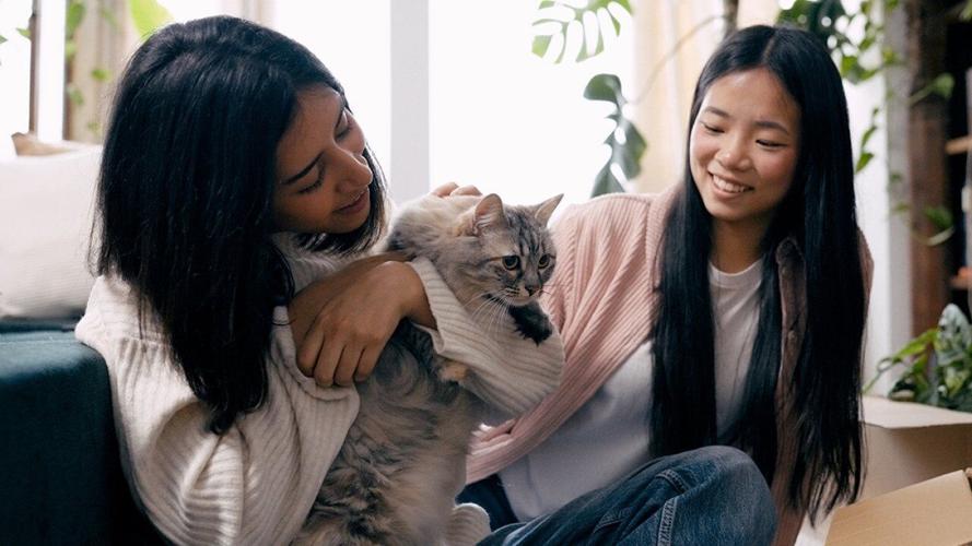 What a roommate can save you in 100 US cities: 2026 study | News ...