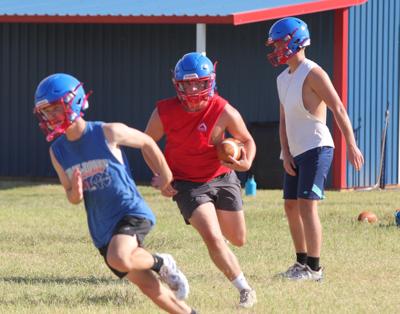 GRIDIRON- A new class of Opponents: Donkeys look to battle in new ...