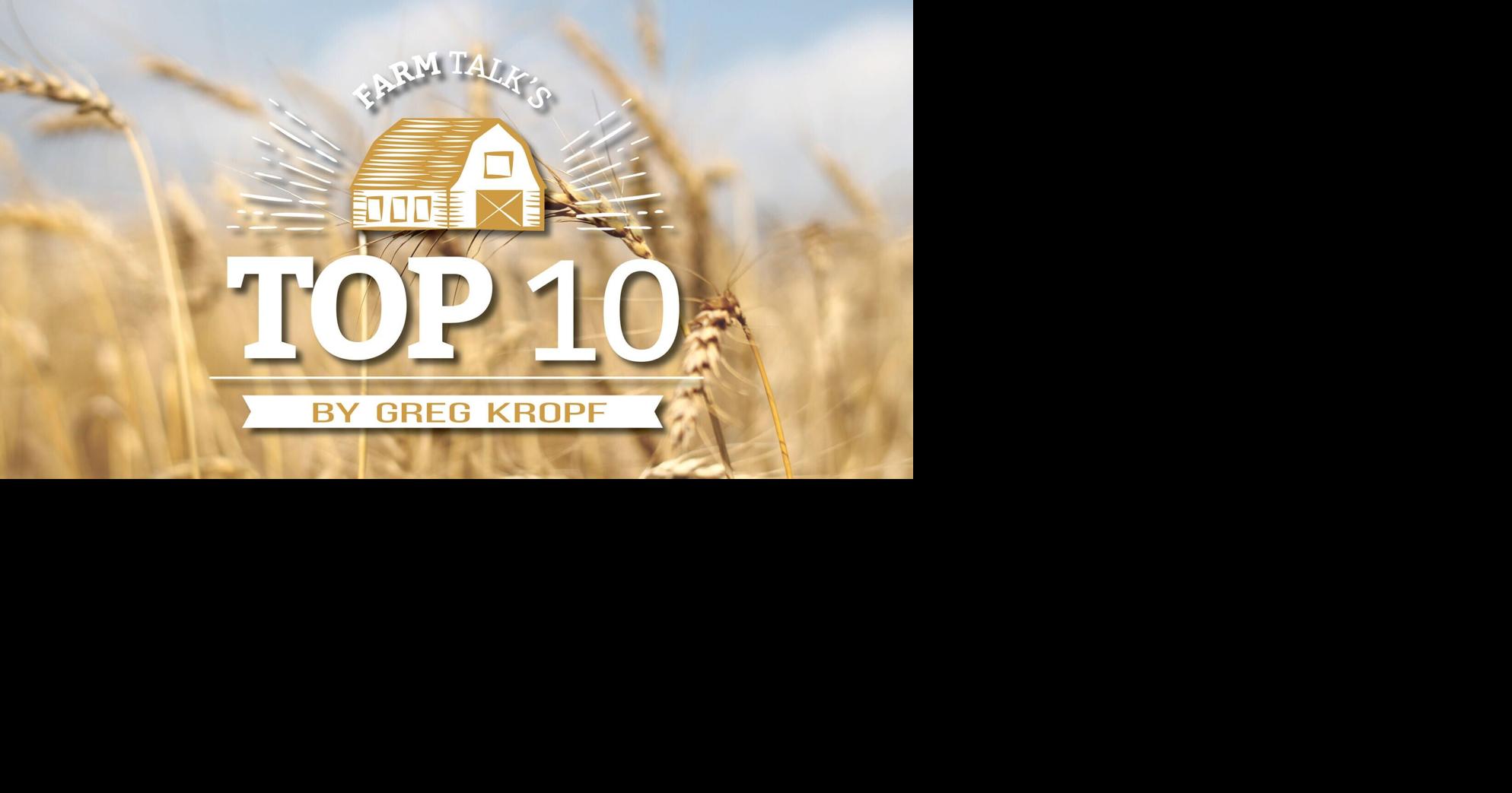 Top 10 weird things found when checking for new calves: | Farmtalk ...