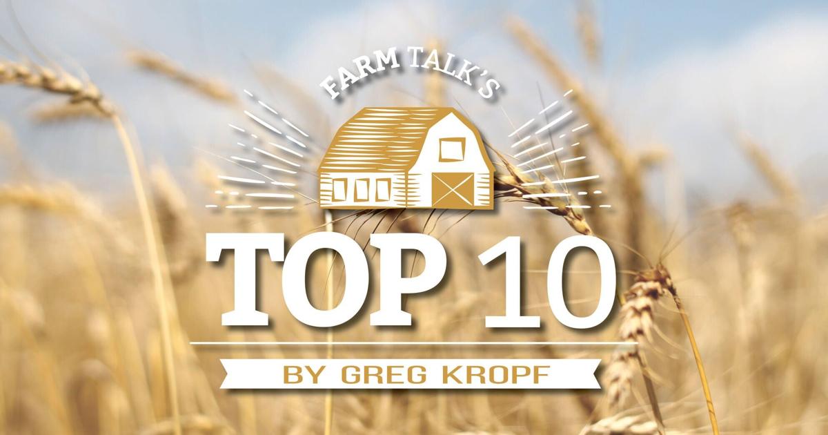 Top 10 weird things found when checking for new calves: | Farmtalk ...