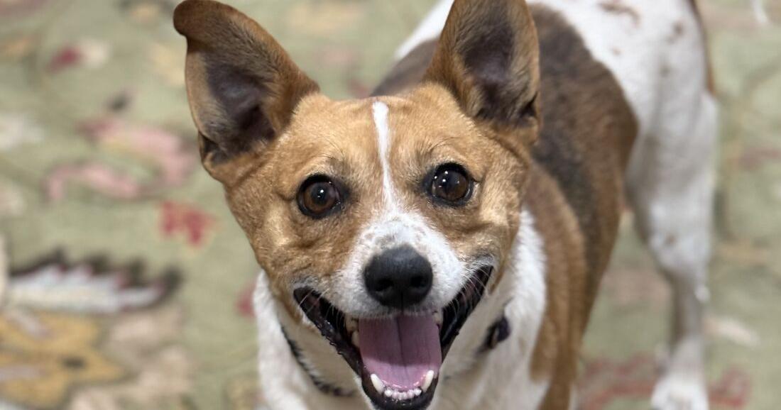 SCHS Column: Filled to the Max with love | Community | duncanbanner.com