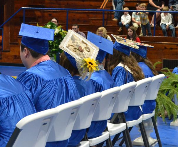 Gallery: Donkeys kick-start their future with graduation ceremony ...