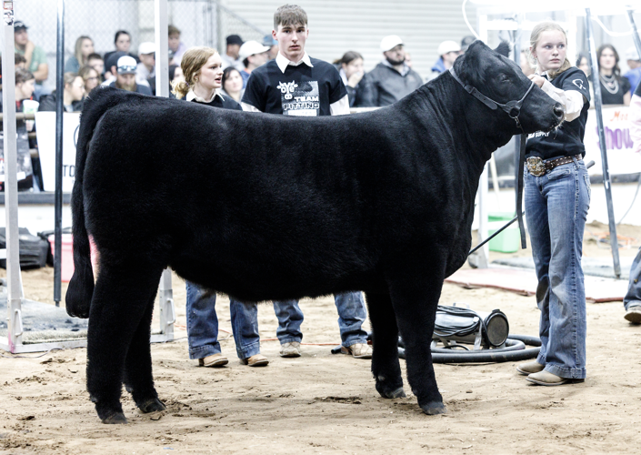 Stephens County Cattle Fitting Team wins Reserve Champion at OYE ...