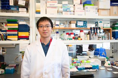 OMRF study finds possible treatment for sickle cell disease | Community ...