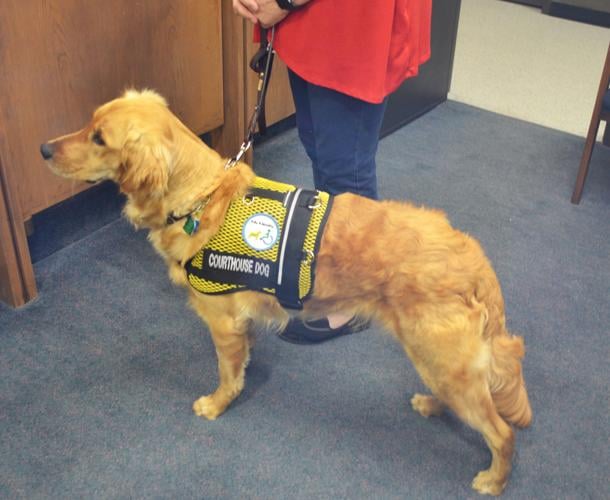 A special bond: ‘Courthouse dogs’ make invisible appearance in ...