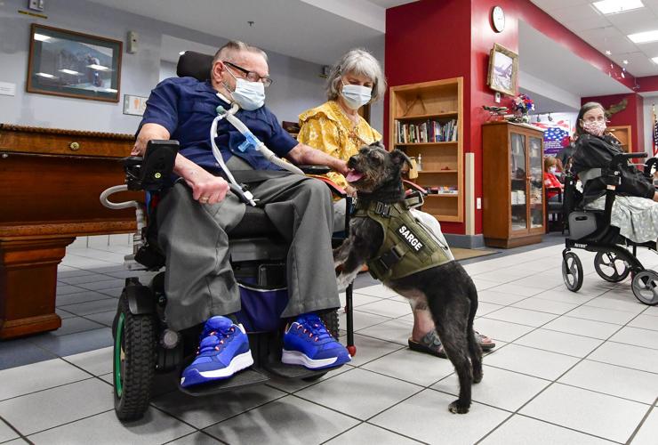 Dog from Emmy-nominated program earns retirement from Veterans home ...