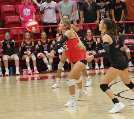 Lady Demons finish off regular season; eye familiar opponent | Sports ...