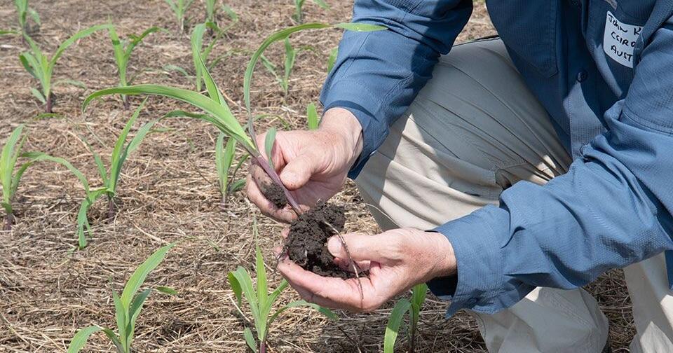 Soil health practices may go hand-in-hand with farm profitability ...