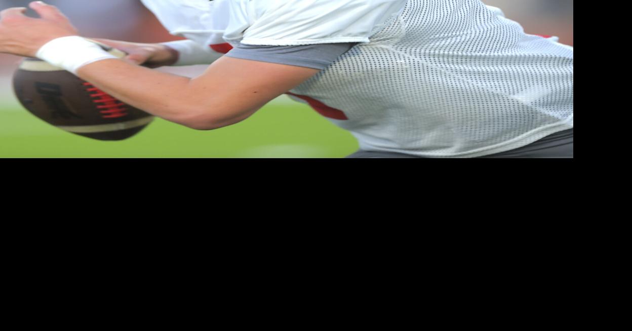 Demons catch glance at season during scrimmage against Lions | Sports ...