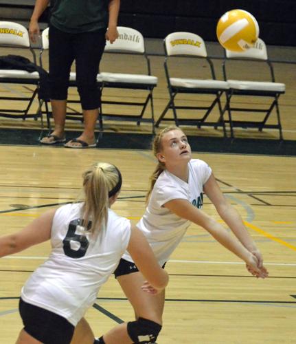 2017: The Year in Review in Sports | Sports | dundalkeagle.com