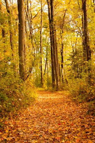 Photo contest winners on display at North Point Library | Local News ...