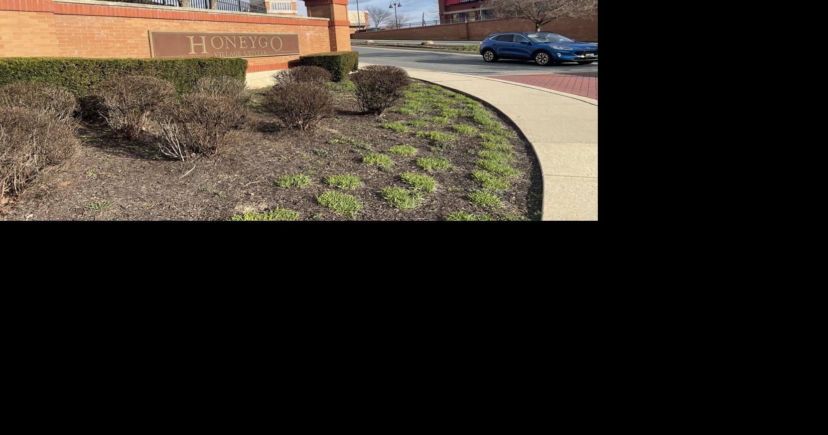 Councilman Marks seeks to prohibit panhandle lots in Honeygo Overlay ...