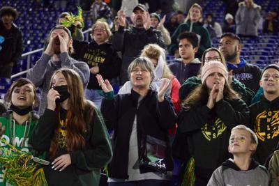 Local parade will celebrate our Dundalk Owls | News | dundalkeagle.com