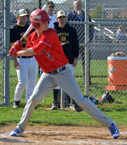 Pointers' Hamp earns spot on All-County softball team | Local News ...