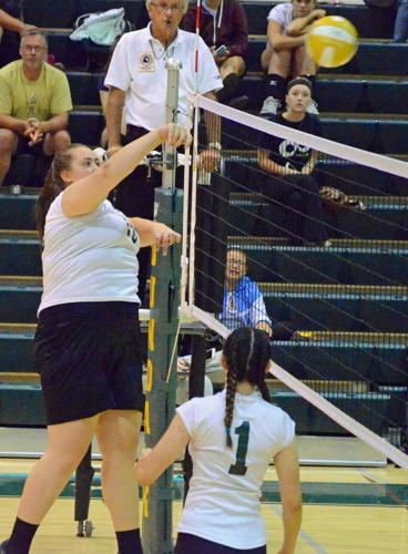 Owl volleyball sweeps Patriots in season opener | Sports | dundalkeagle.com