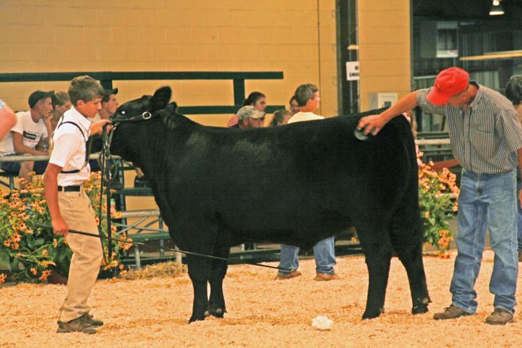 Maryland State Fair returns Aug. 25 | State | dundalkeagle.com