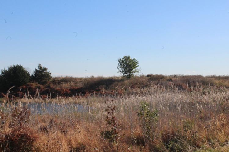 Photo gallery: Off-season Hart-Miller Island | | dundalkeagle.com