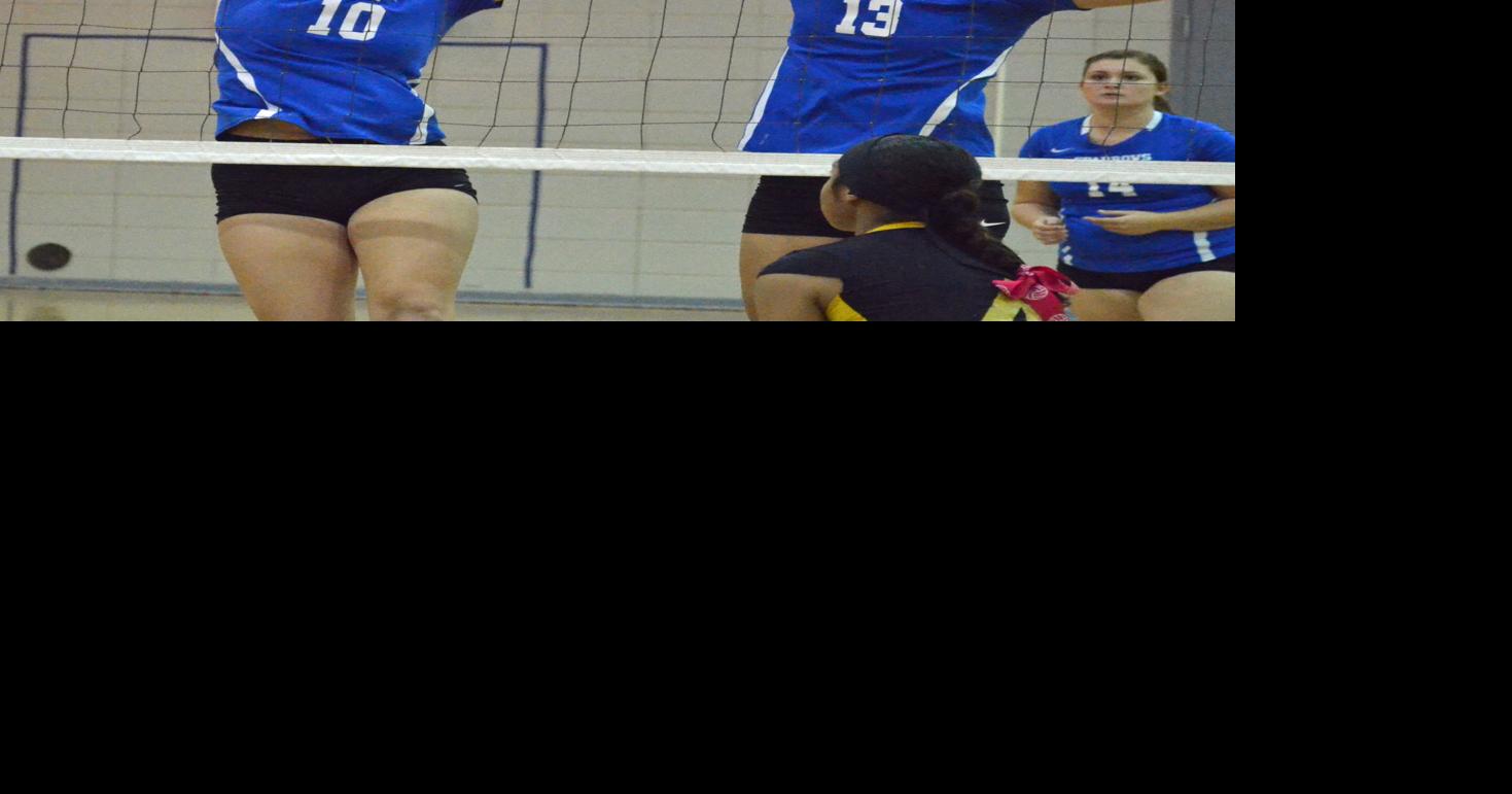 Serving surges help lift Pointer volleyball over Parkville | Sports ...