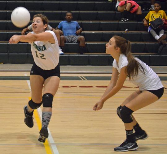 Rough week for Dundalk volleyball team | Sports | dundalkeagle.com