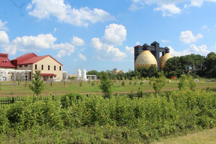 Crandell, state officials pen letter to Gov. Hogan regarding Back River ...