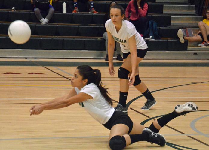 Rough week for Dundalk volleyball team | Sports | dundalkeagle.com