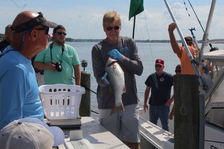 Back River Restoration Committee hosts 15th Annual Rockfishing ...