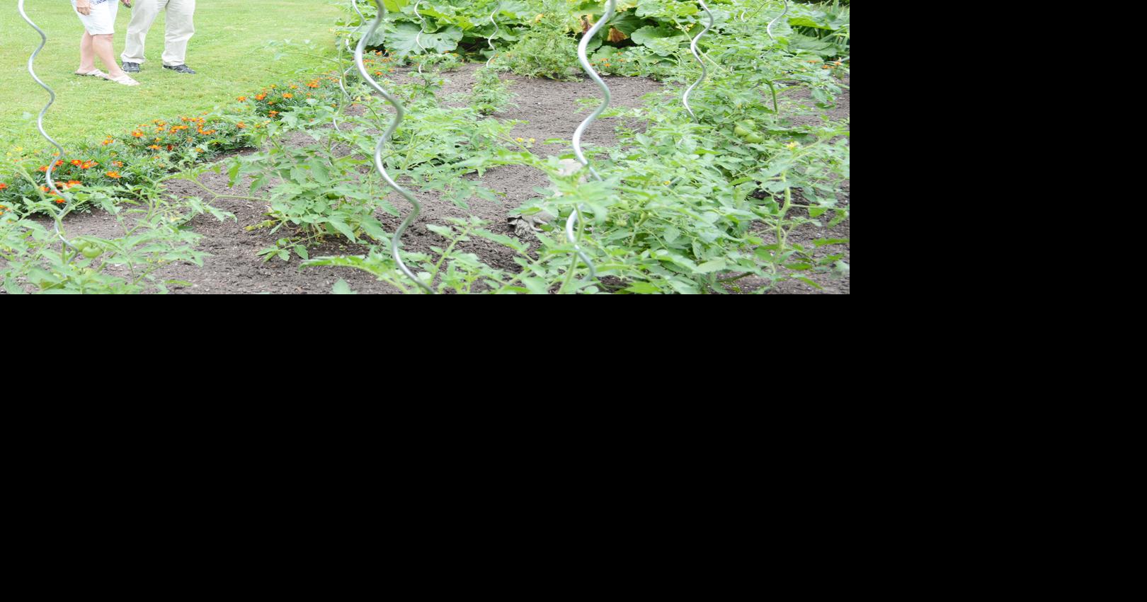 Tour 10 properties during Whitby In Bloom’s garden tour July 15