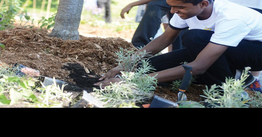 Pickering park now boasts 660 new plants, 30 new trees thanks to ...