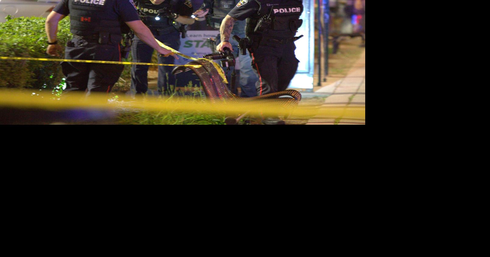 Ajax man charged in Pickering Ribfest shooting that injured four