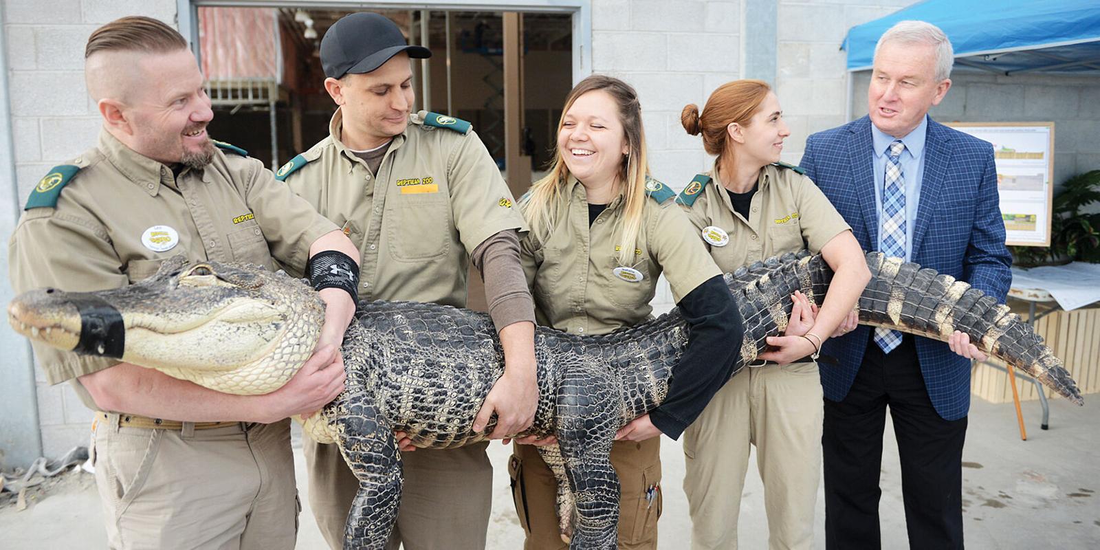 Reptilia slithers into Whitby this summer