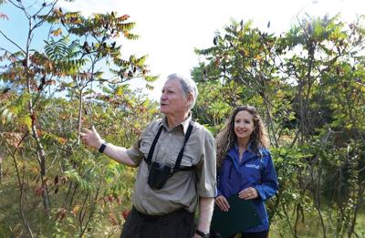 Improvements planned for Altona Forest
