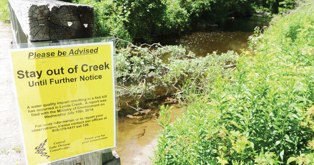Pickering farm manure spill into creek killed fish: ministry