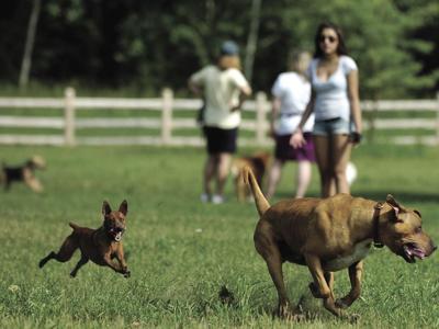 Pickering dog park unleashed
