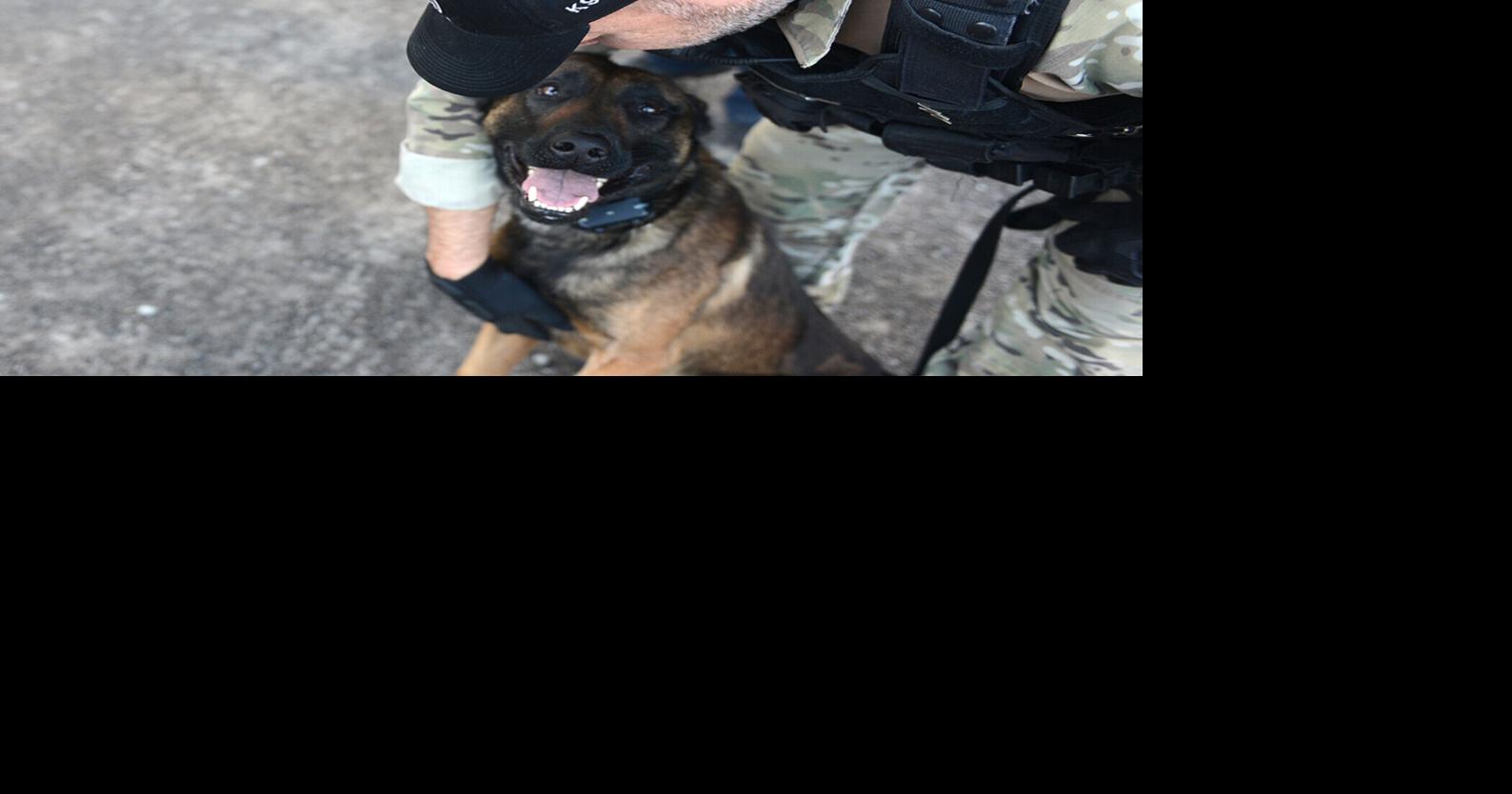 What it takes to make the Durham police canine team