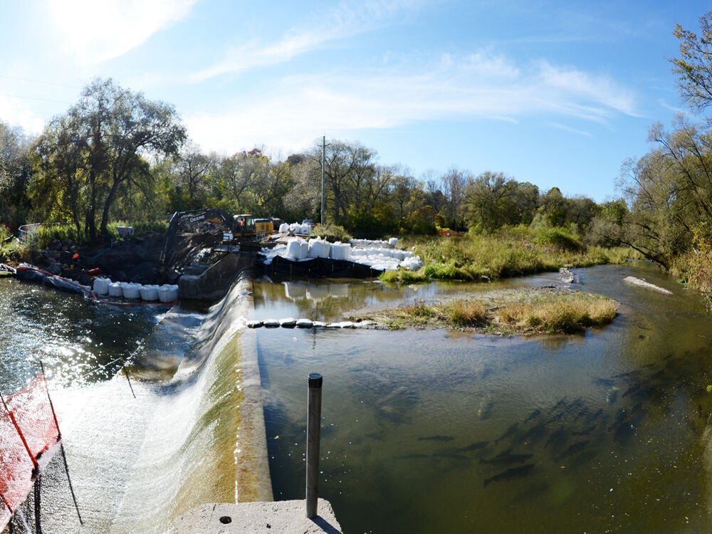 Out with the old, in with the new fish ladder at Bowmanville Creek